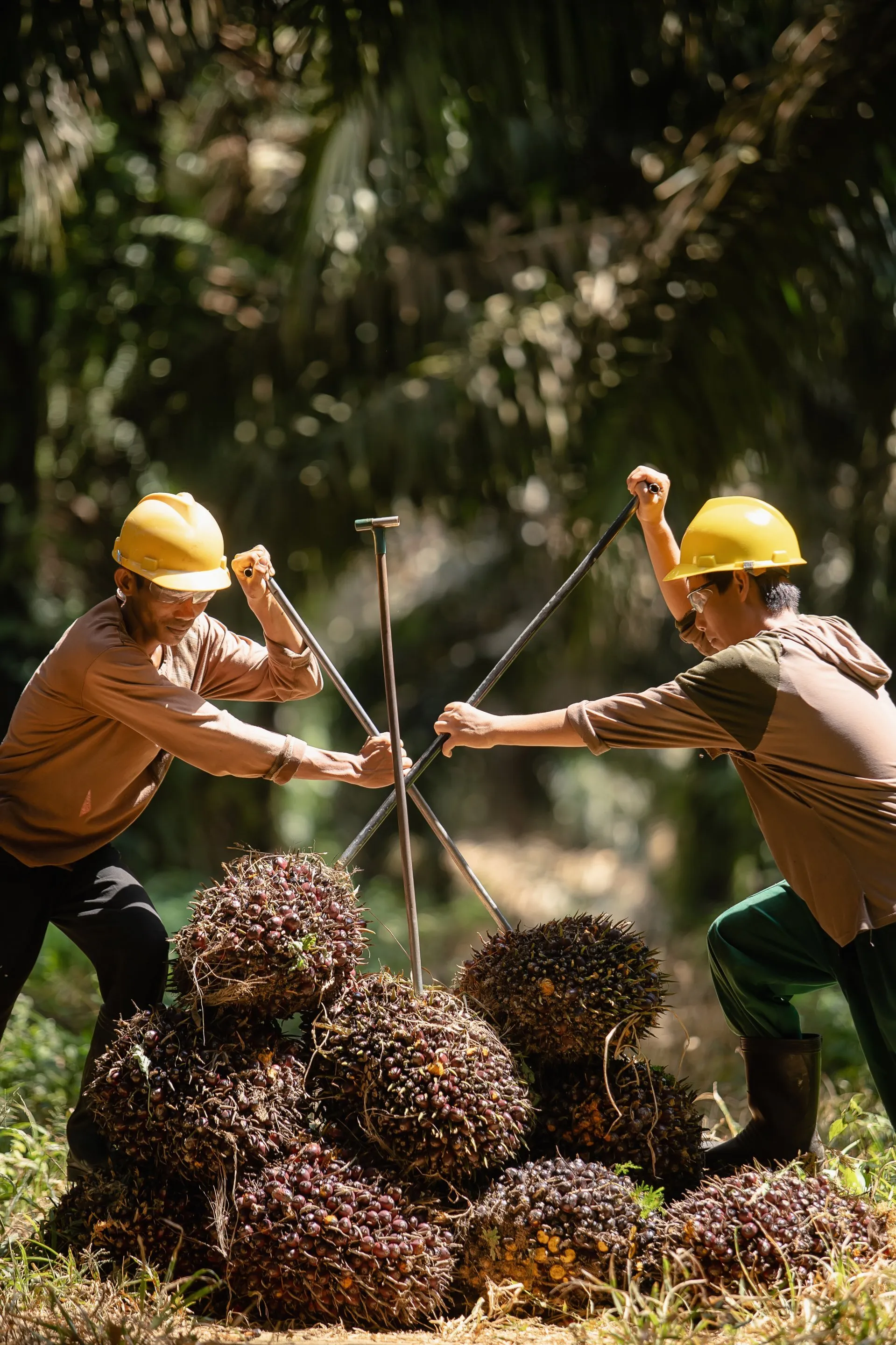 Hubungan Investor | PULAUSUBUR.COM