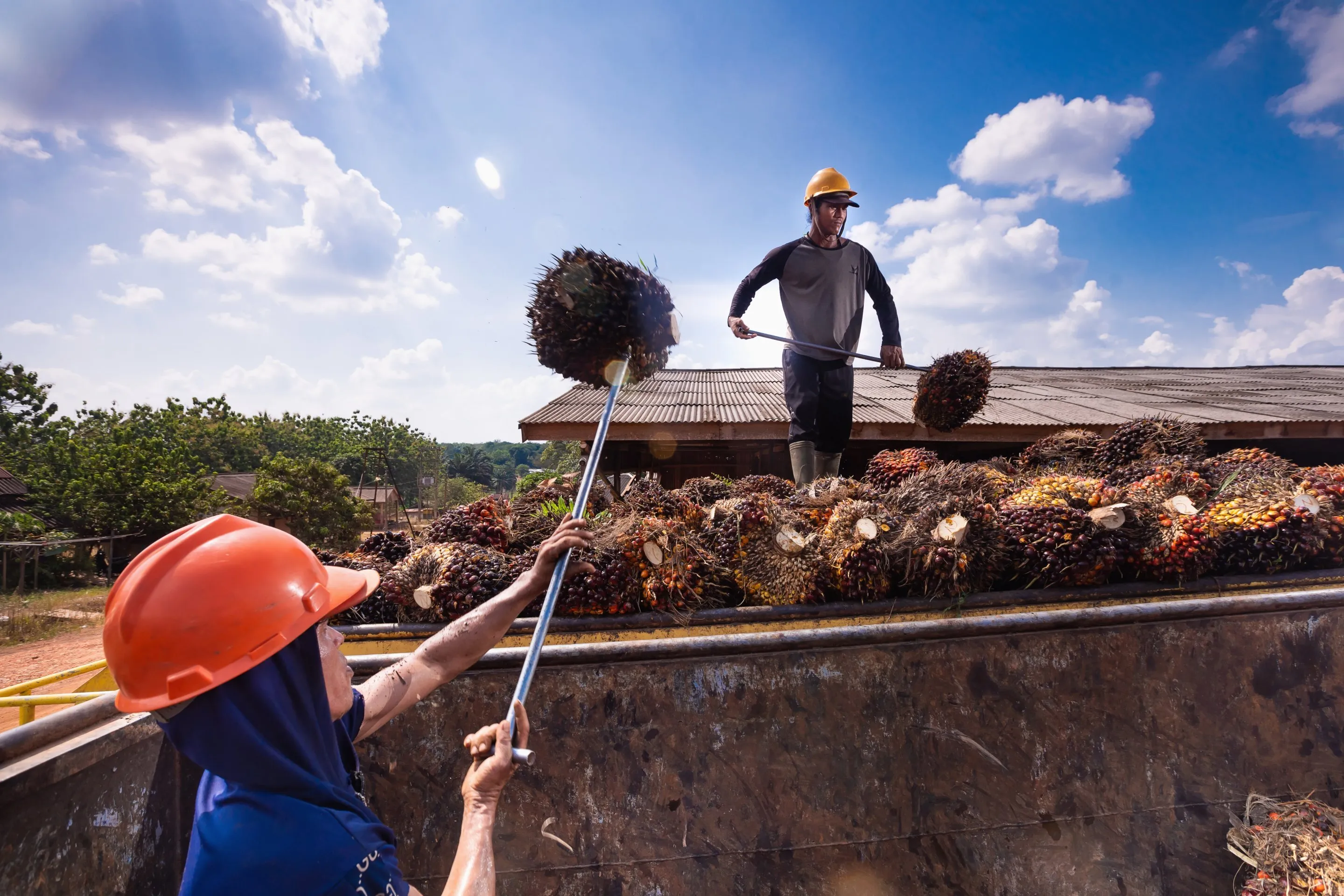 RUPS | PULAUSUBUR.COM